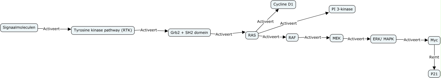 RTK pathway
